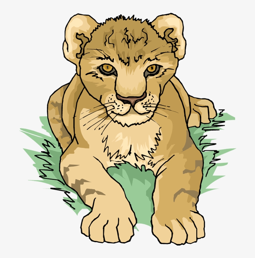Lion Clipart Lion Cub - Free Clipart Lion Cub - 748x750 PNG Download ...