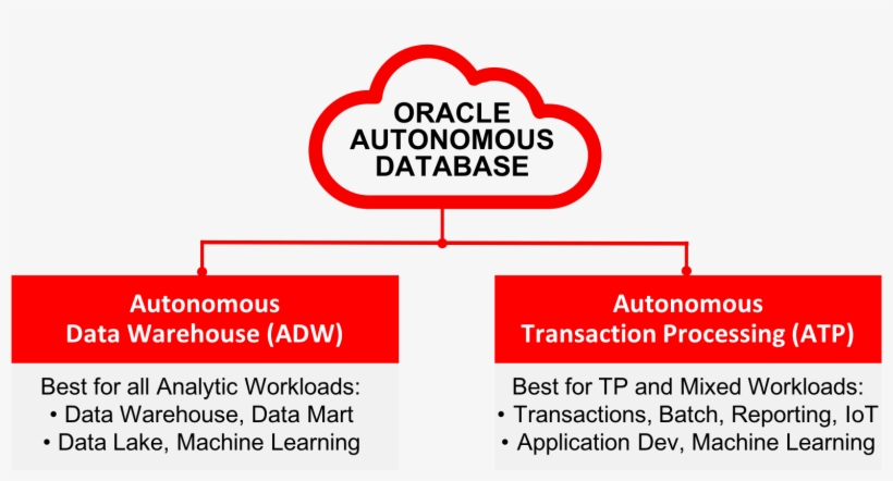 Of The Oracle Autonomous Database Family, Combining - Oracle Autonomous ...