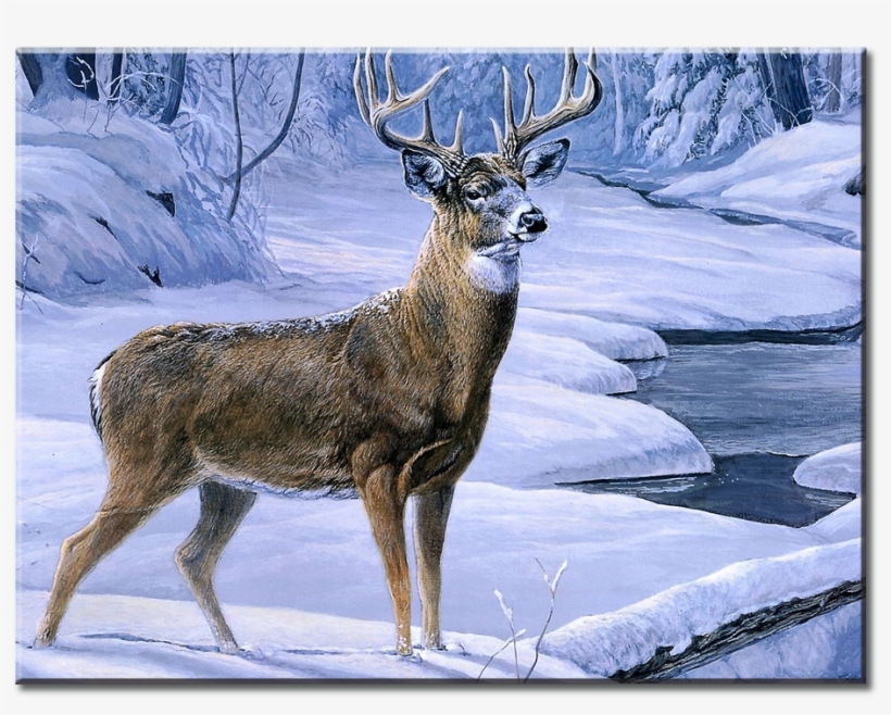 Deer Hunting Canvas Wall Art - Deer In Forest Winter - 1000x750 PNG ...