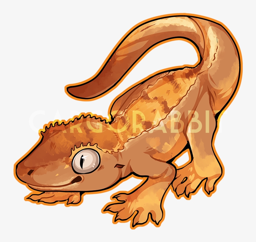 Crested Gecko - Crested Gecko Stickers - 1000x1000 PNG Download - PNGkit