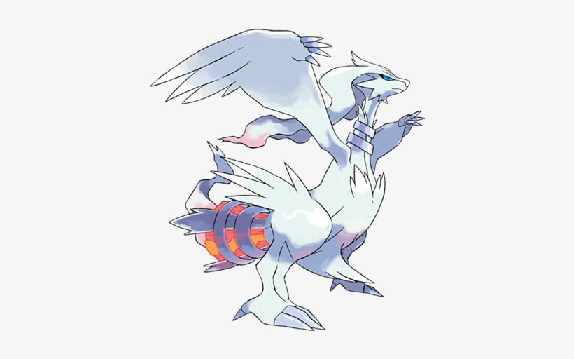 Reshiram Forma Activa - Pokemon Reshiram - 475x475 PNG Download - PNGkit