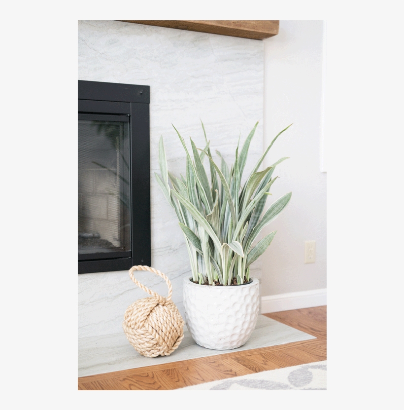 Download Transparent Fireplace Beach Details - Beach - PNGkit