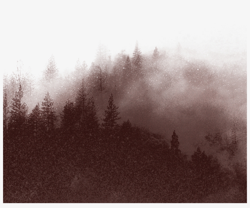 Shortleaf Black Spruce - 1781x1399 PNG Download - PNGkit