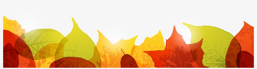 Transparent Leaves Bottom Border - 3168x707 PNG Download - PNGkit