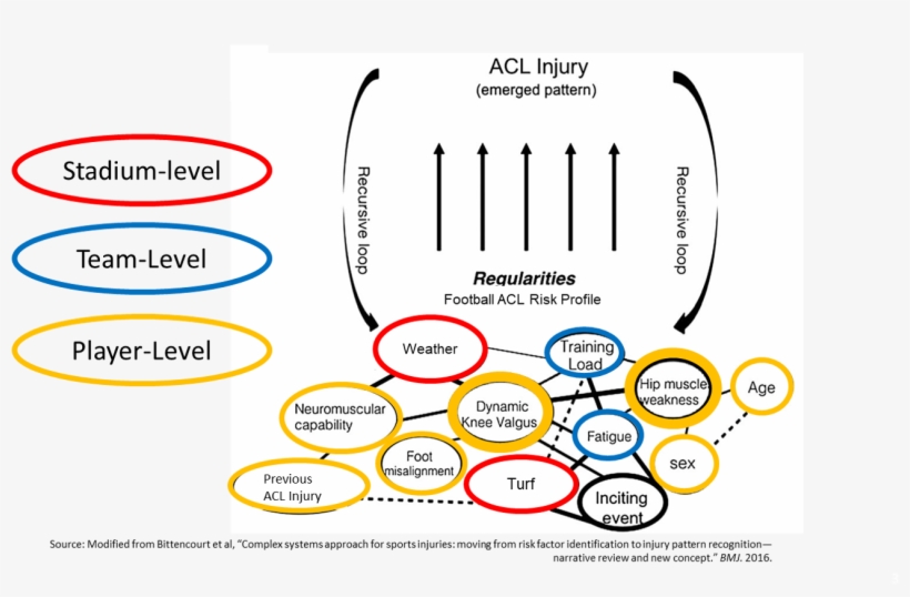 There Are Player Level Factors That Contribute To Injuries, - Injury ...