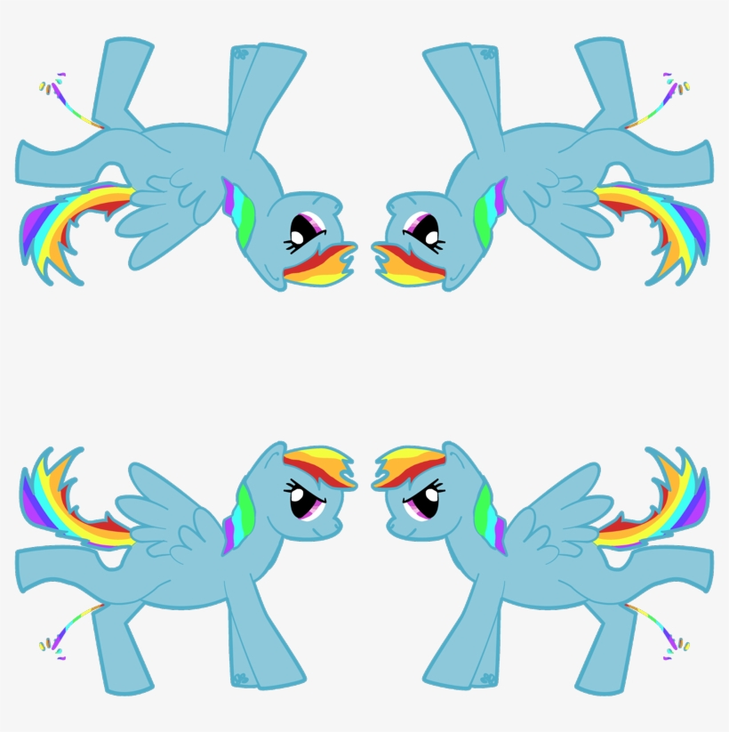 Rainbow Dash Pees - 800x800 PNG Download - PNGkit