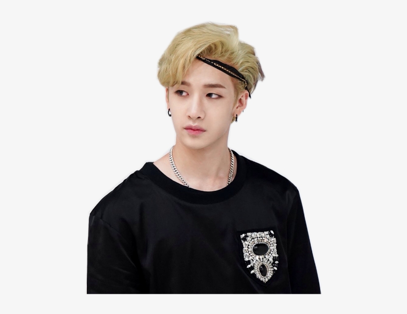 Download Transparent Stray Kids - PNGkit