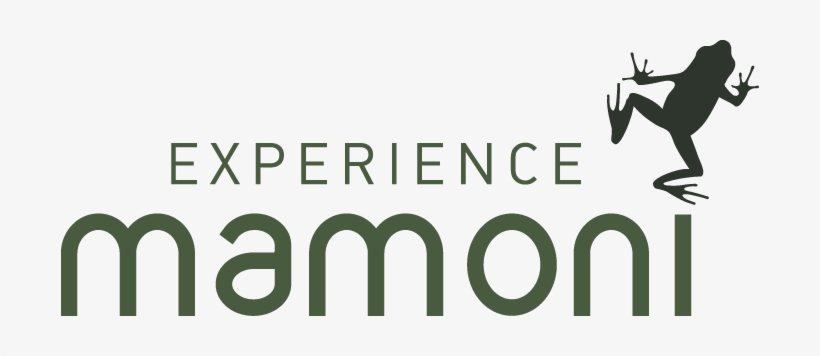 Experience Mamoni - Graphic Design - 698x276 PNG Download - PNGkit