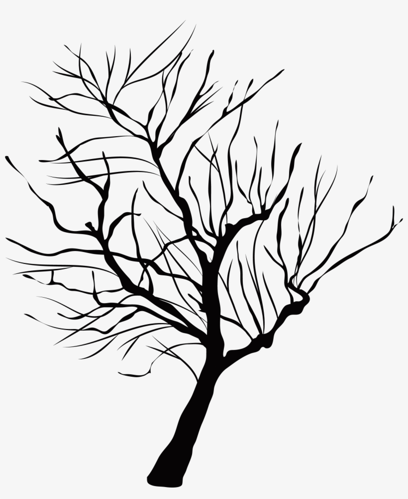 Euclidean Download Computer File - Черное Дерево Пнг - 2334x2746 PNG ...