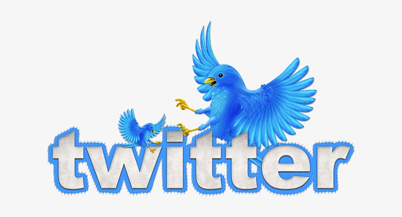 Animated Twitter Bird - 640x640 PNG Download - PNGkit