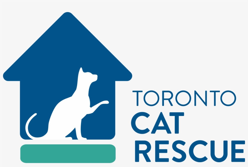 Toronto Cat Rescue - 1920x1202 PNG Download - PNGkit