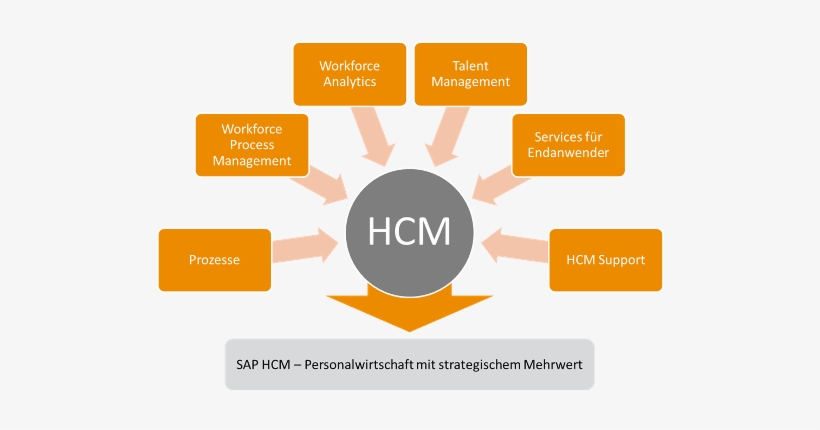 Sap Human Capital Management - 530x350 PNG Download - PNGkit