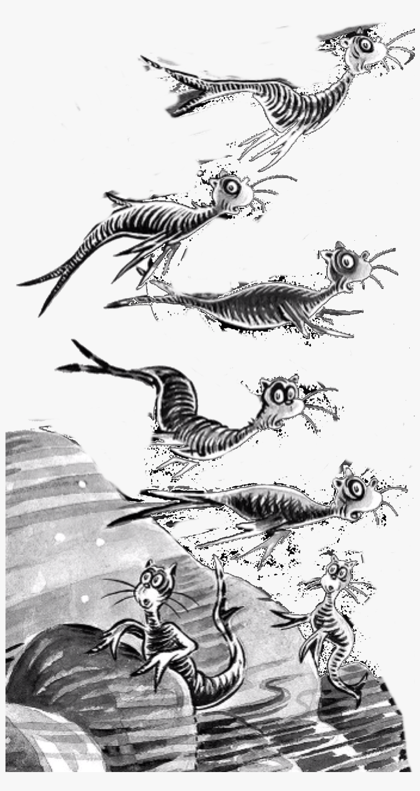 Catfish - Png - 1110x2048 PNG Download - PNGkit