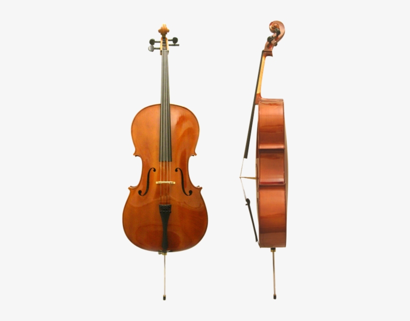 Cello Front Side - Different Kinds Of Instrument - 395x599 PNG Download ...