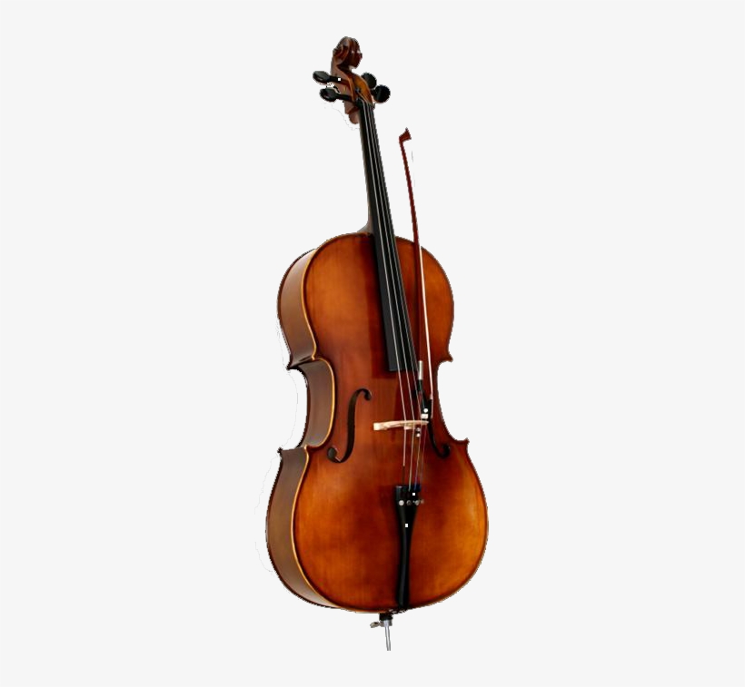 Cello - Example Of Chordophones - 260x677 PNG Download - PNGkit