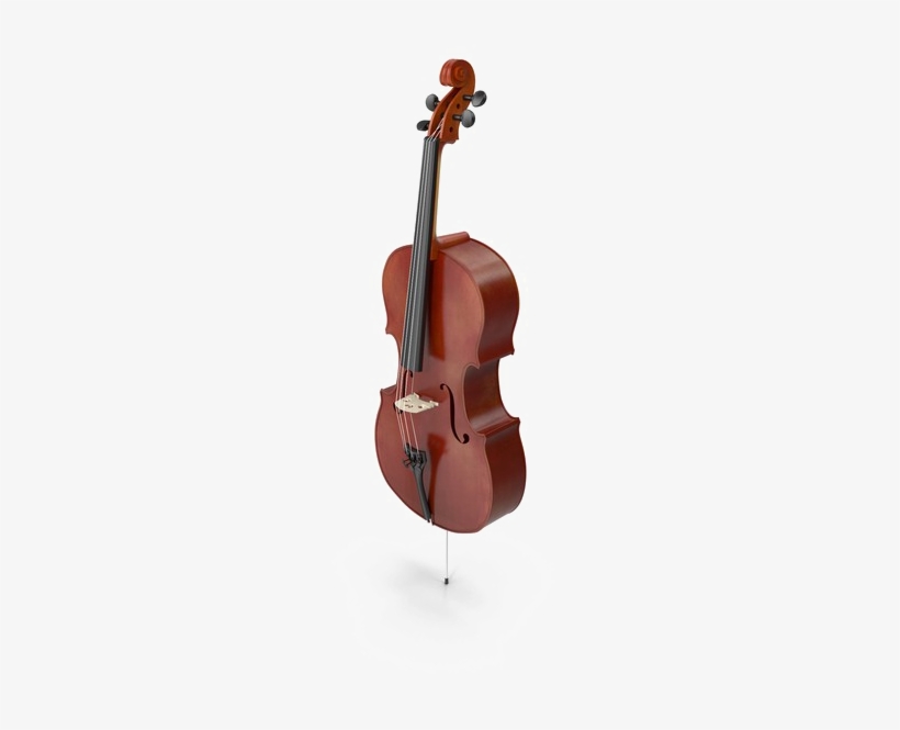 Cello Png Photo - Cello Trasnparent Background - 600x600 PNG Download ...