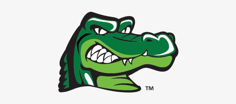 Bullpen Marketing Brings Uhd's Ed U Gator To Life - U Of H Downtown ...