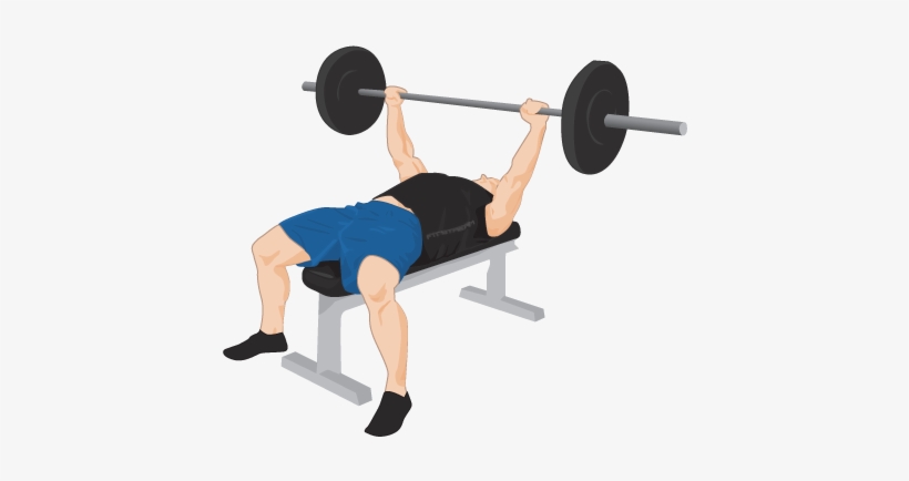 Exercise Png Clipart - Bench Press Transparent - 429x365 PNG Download ...