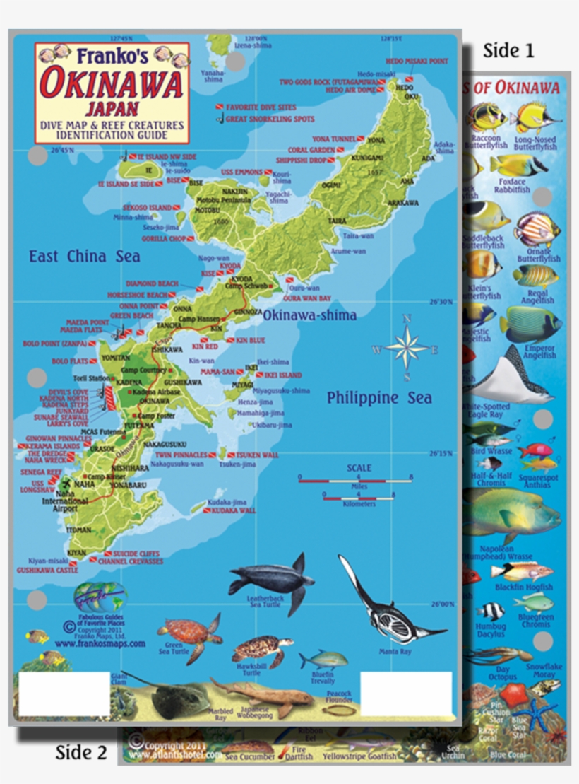 Franko Maps Okinawa Japan Dive Creature Guide - 1200x1200 PNG Download ...