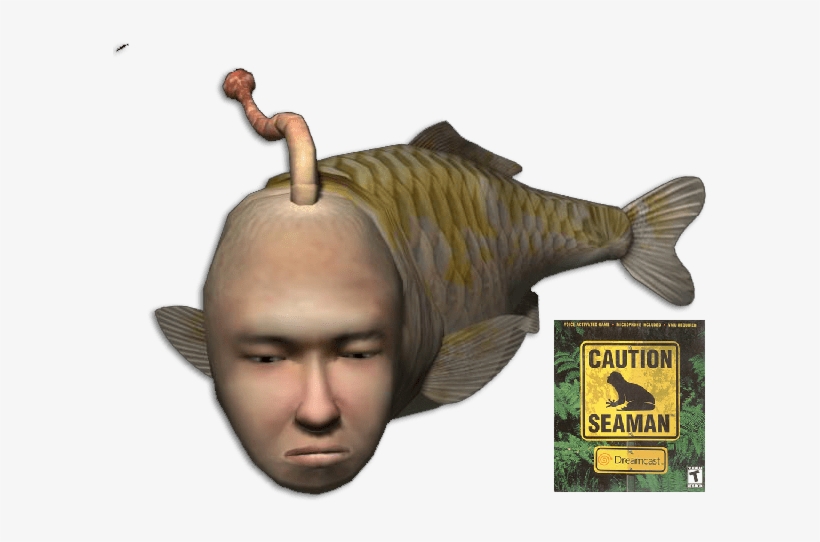 Seaman For Sega Dreamcast - Caution Seaman Dreamcast [sega] - 640x480 ...