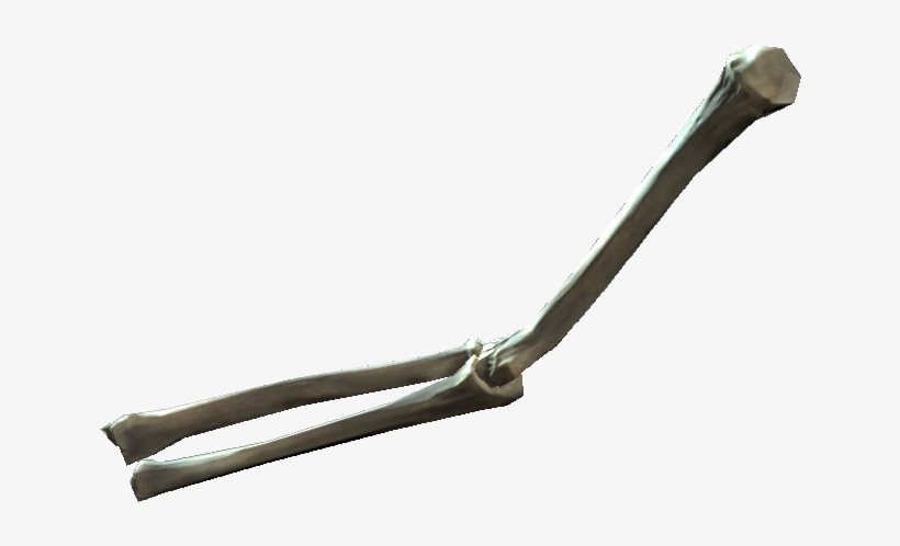 Right Arm Bones - Arm Bones Png - 698x481 PNG Download - PNGkit