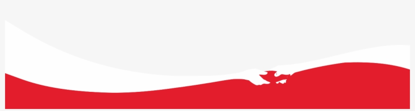 Coca Cola Wave Vector