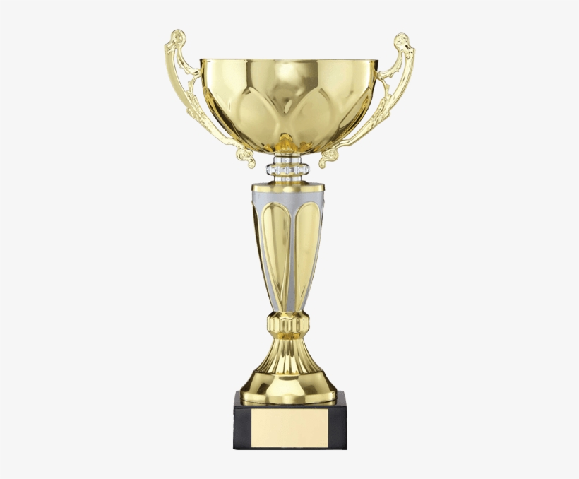 Trophy Png Transparent Picture Transparent Library - Trophy With No ...