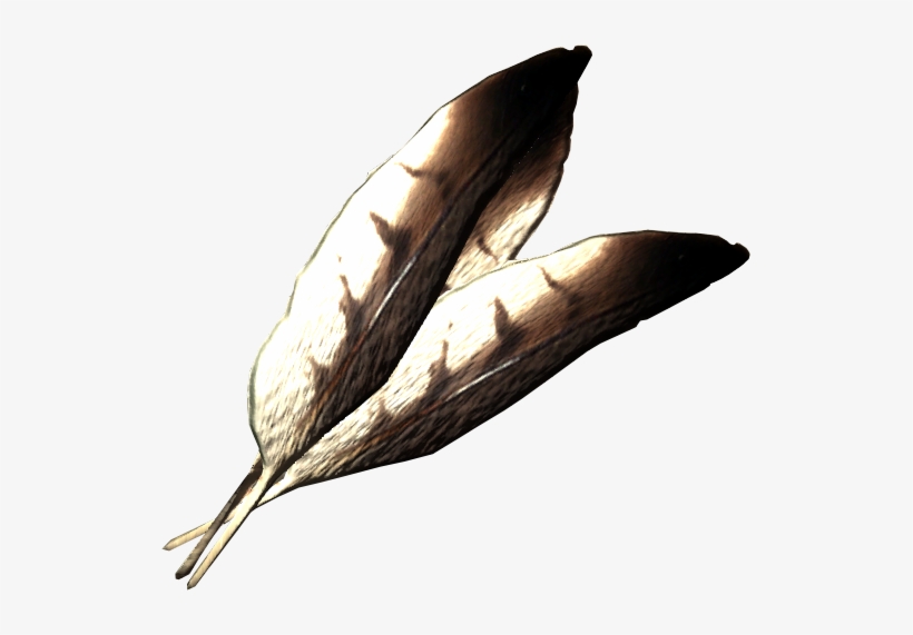 Hawk Feathers - Hawk Feather Png - 529x491 PNG Download - PNGkit