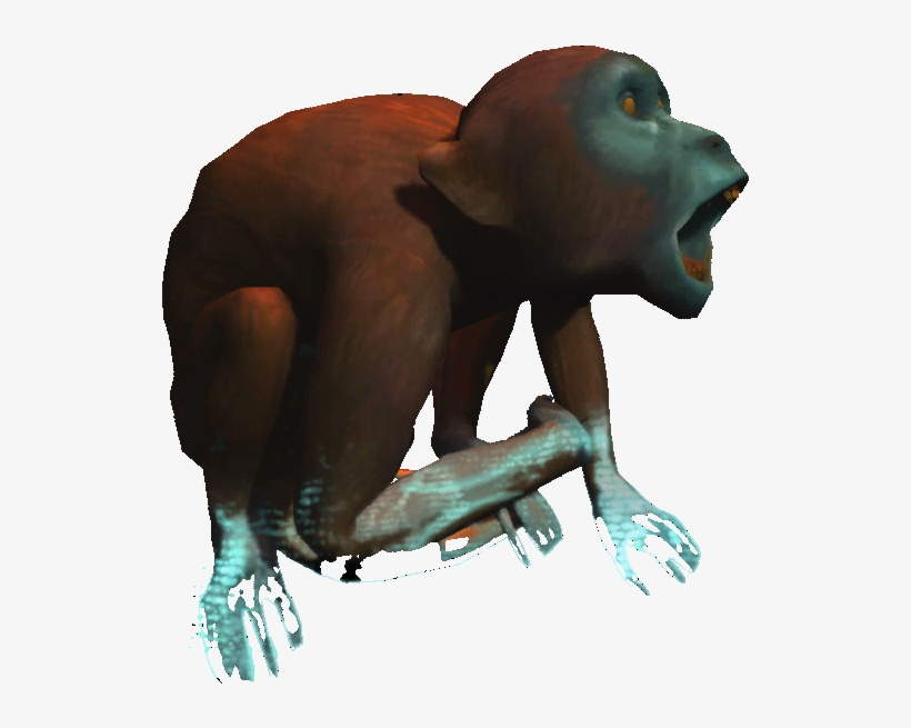 Download Transparent Red Howler Monkey - Howler Monkey Png - PNGkit