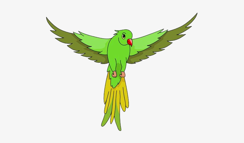 Siting Parrot Png - Green Parrot Flying Clipart - 550x423 PNG Download ...