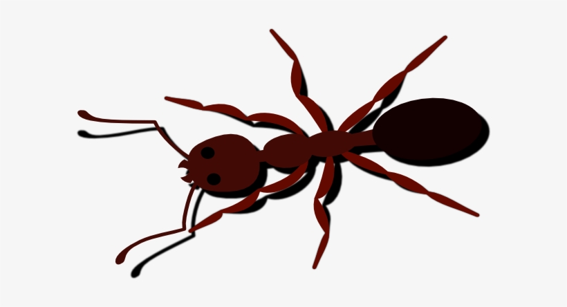 Small - Ant Clip Art - 600x364 PNG Download - PNGkit