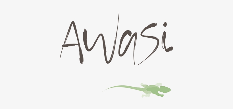 26/05/2018 Patagonia - Awasi Atacama Logo - 400x305 PNG Download - PNGkit