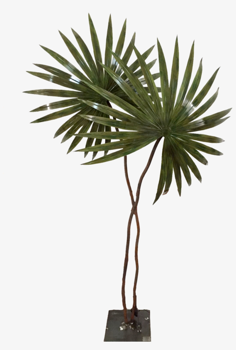 Img 2425 - 1000x1333 PNG Download - PNGkit