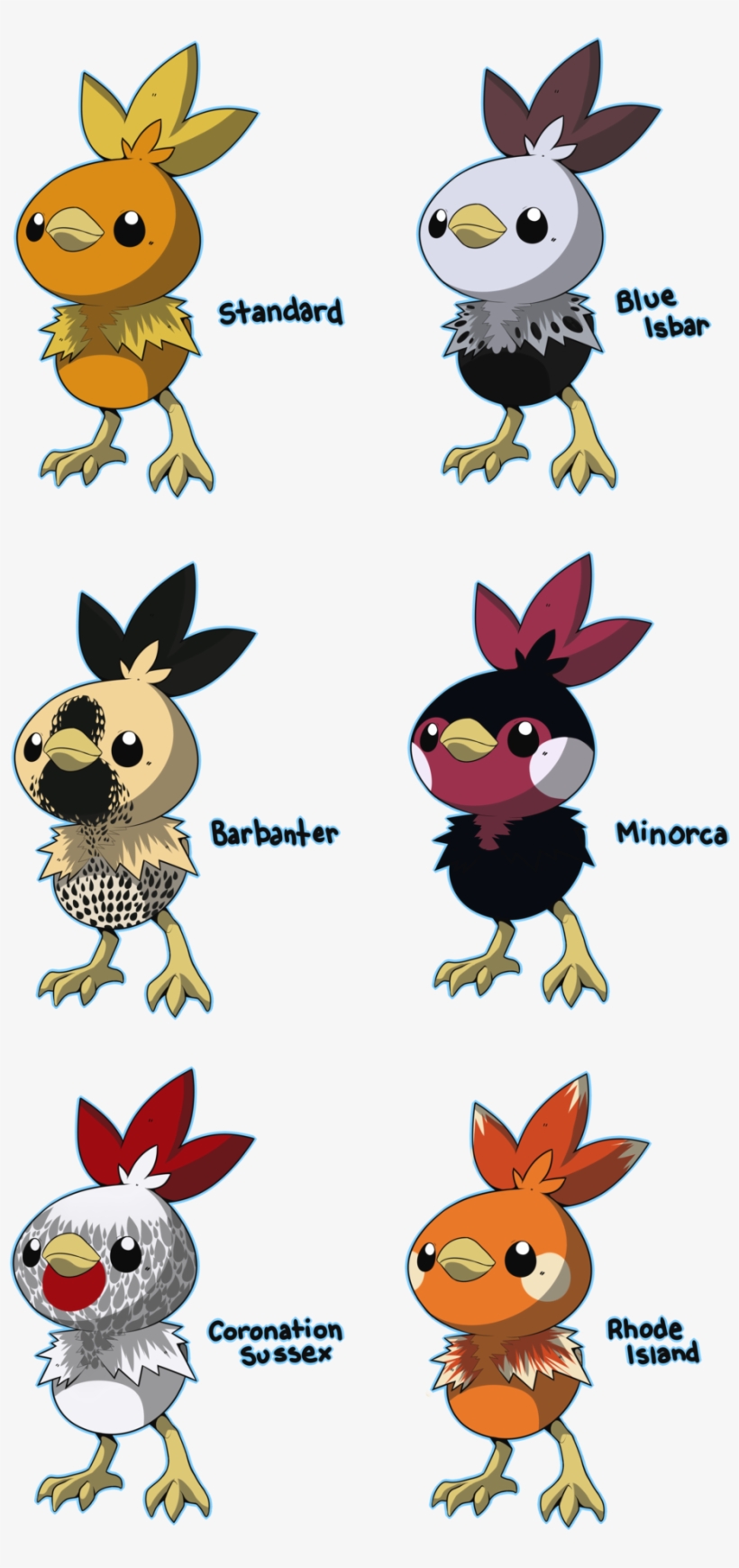 Torchic Variations - Pokemon Torchic Deviantart - 1024x2019 PNG ...