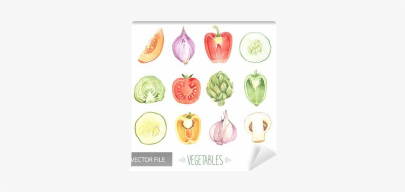 Watercolor Vegetables Organic Vector Set Wall Mural - Recipe Journal ...