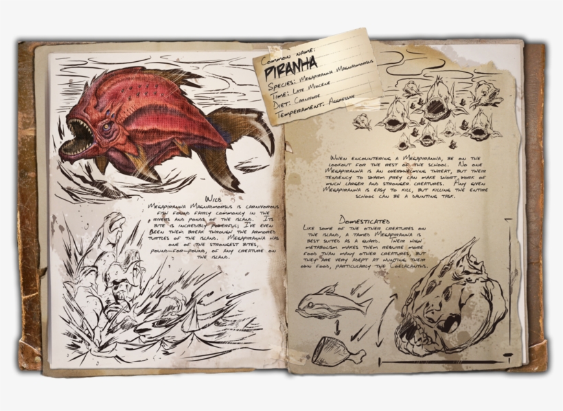 Ark Survival Evolved - Ark Survival Evolved Ps4 Dino Dossier - 800x518 ...