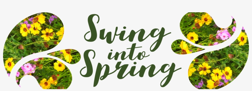 Swing Into Spring Header Paisley - Spring Header - 3333x1042 PNG ...