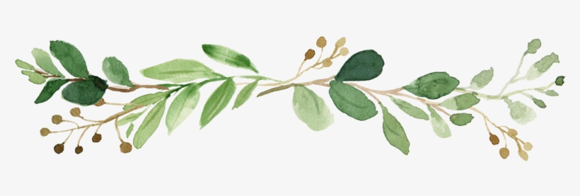 Leaf Frame - Boho Leaf Png - 800x197 PNG Download - PNGkit