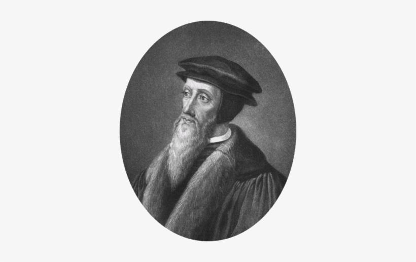 John Calvin - John Calvin Transparent - 350x437 PNG Download - PNGkit