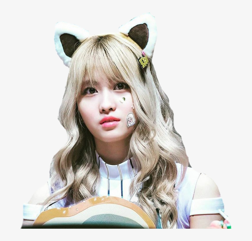 Cute Sticker By Betsy Torres - Momo Twice Very Cute - 689x704 PNG ...