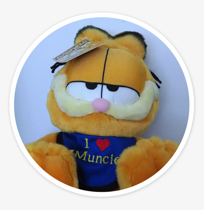 Garfield - Cat - 800x800 PNG Download - PNGkit