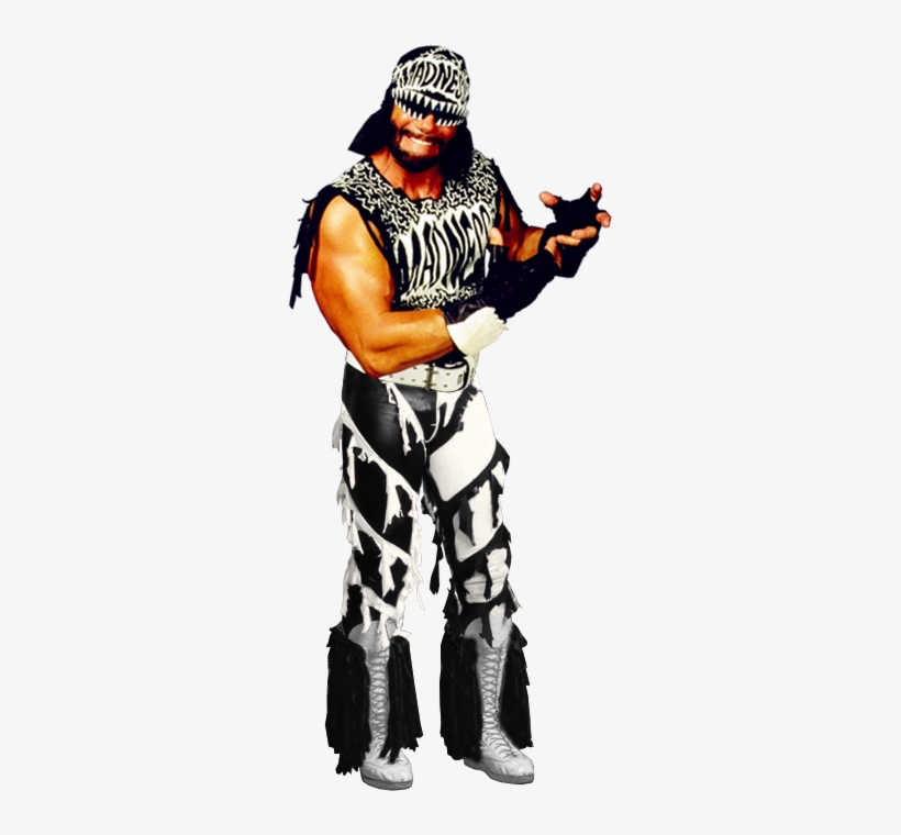 Nwo Png - Wwe - Ultimate Macho Man Randy Savage Collection - 295x680 ...