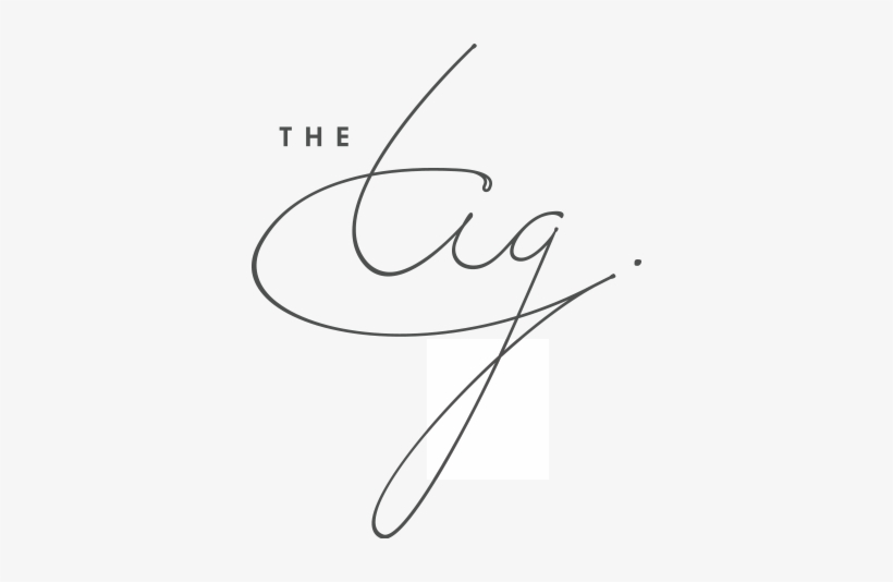 The Tig Logo - Tig Logo - 358x454 PNG Download - PNGkit
