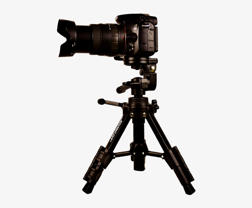 You Must Have A Professional Camera For The Best Pictures - Video ...