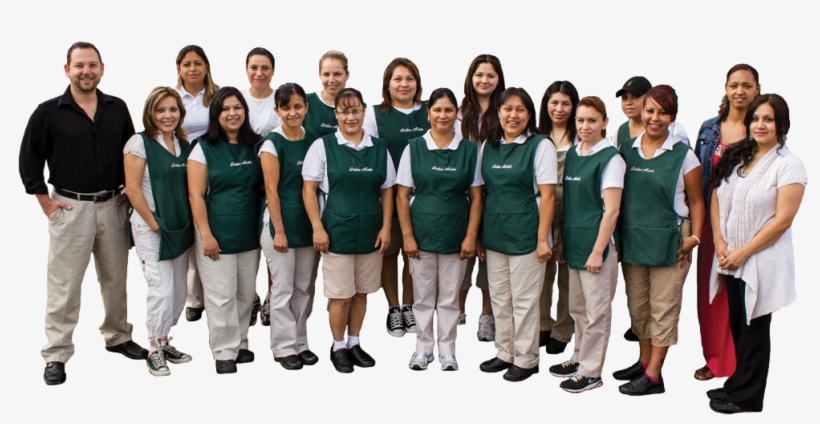 Dallas Maids People - Dallas Maids - 1000x476 PNG Download - PNGkit