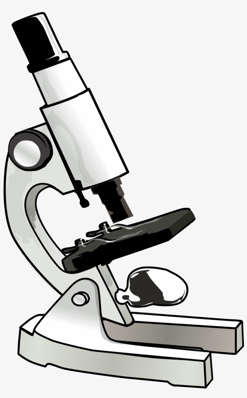 Biology - Microscope Clipart - 513x800 PNG Download - PNGkit