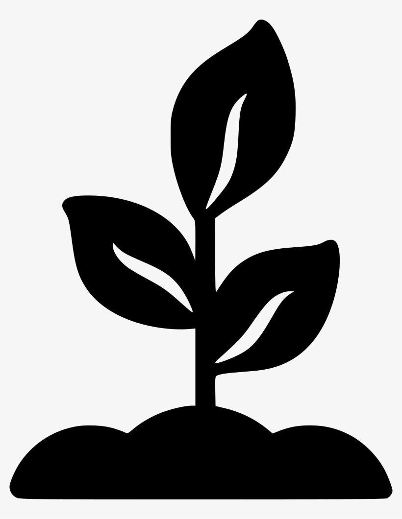 Biology Plants Life Test Experiment Comments - Grow Icon - 782x980 PNG ...