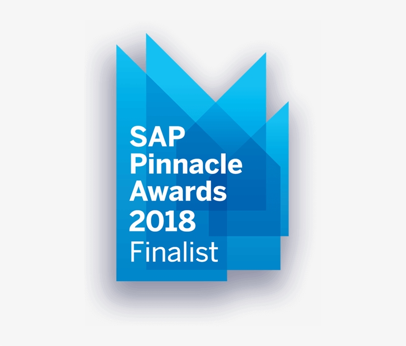 Read More - Sap Pinnacle Awards 2017 - 479x620 PNG Download - PNGkit