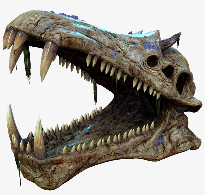Real Leviathan Skeleton