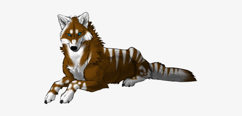 Chat Bubble Wolf Cerbi - Wolf Pose - 519x314 PNG Download - PNGkit
